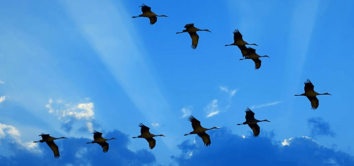 Smooth Website Migration